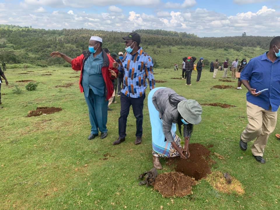 Fourth Kaptagat Tree Planting Edition 2020: 105 Hectares Restored ...