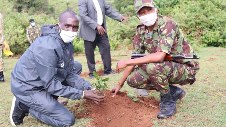 Fourth Kaptagat Tree Planting Edition 2020: 105 Hectares Restored ...